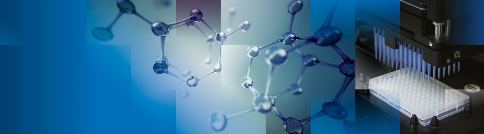 Bioactive Compounds - Enamine