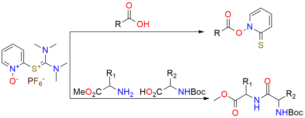 HOTT - Enamine